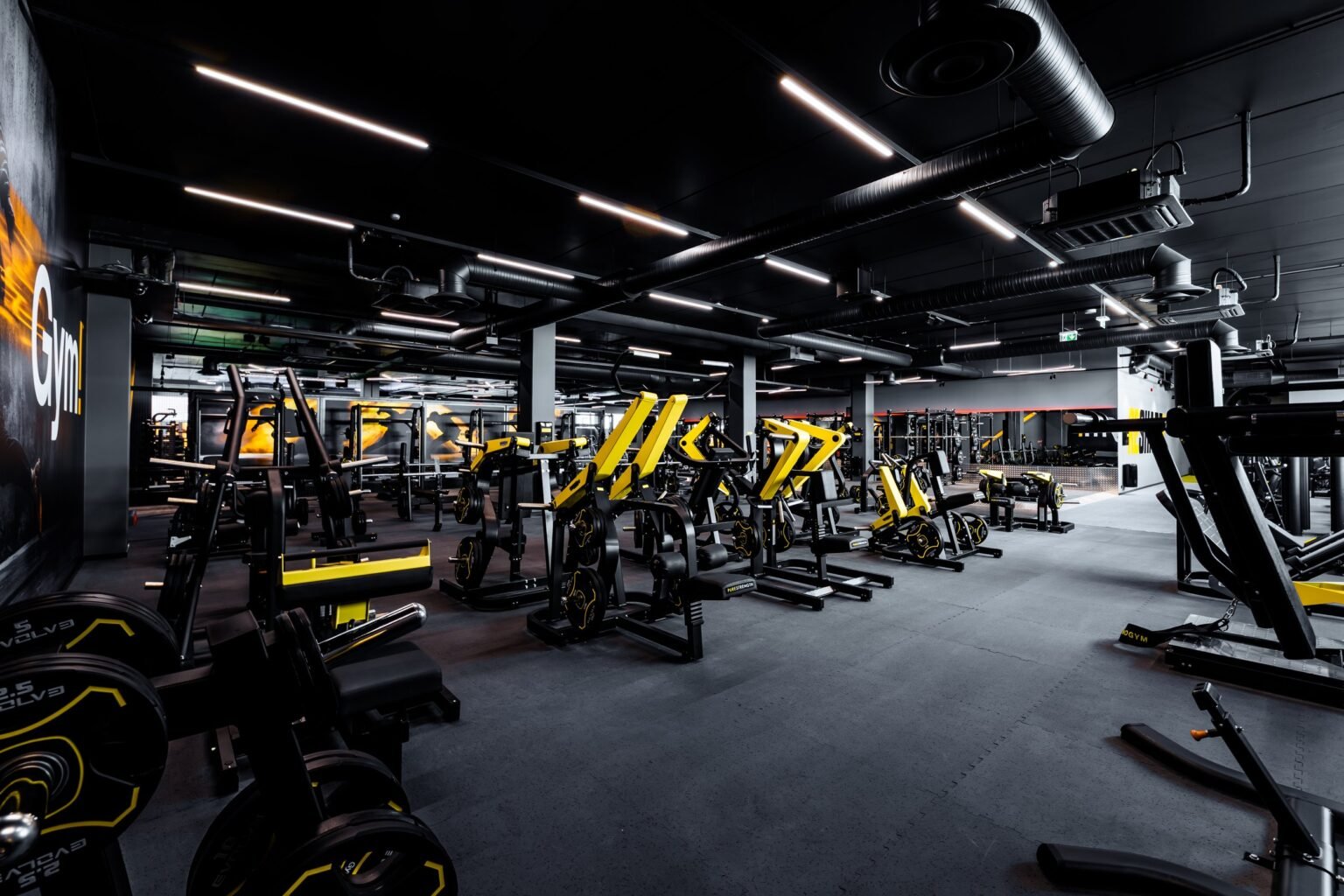 Gym! Tallinn Project - Evolve