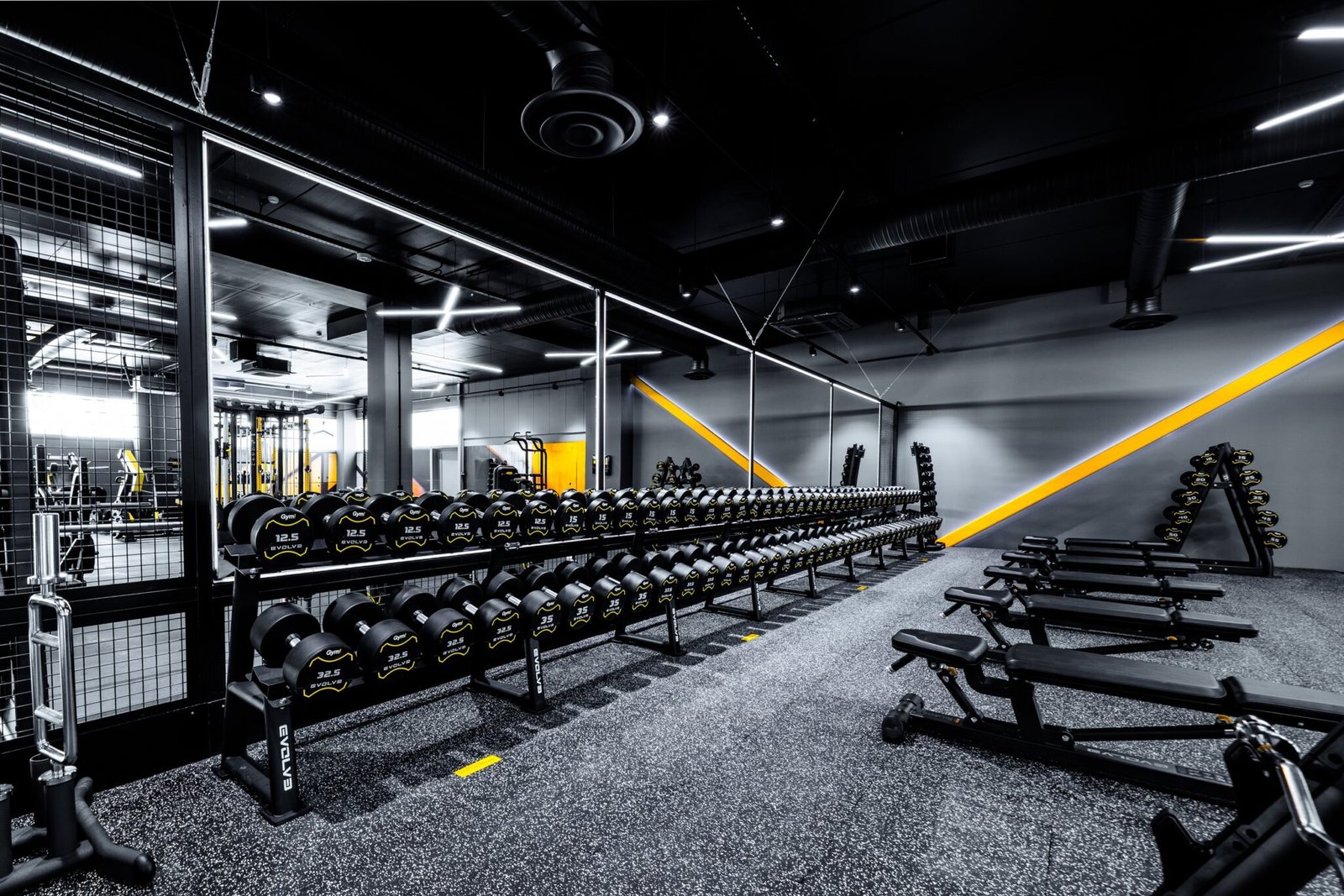 Gym! Tallinn Project - Evolve